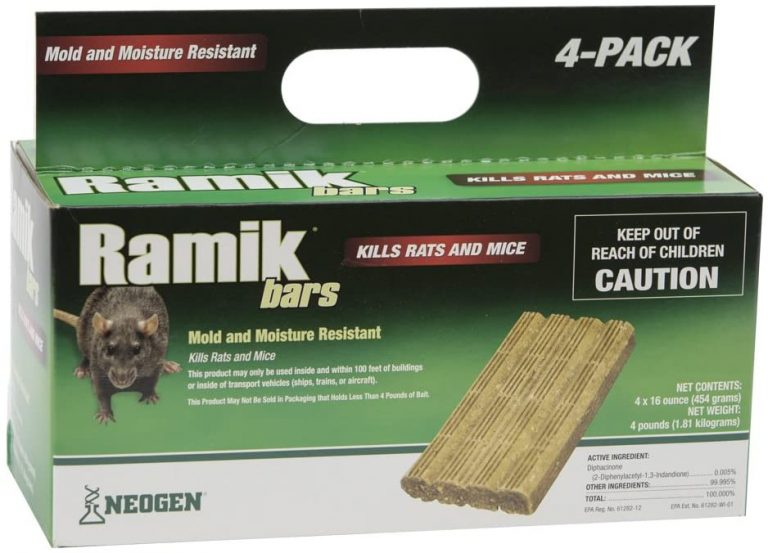 The Best Rat Poison 2021 - Top 10 Reviewed - Workshopedia