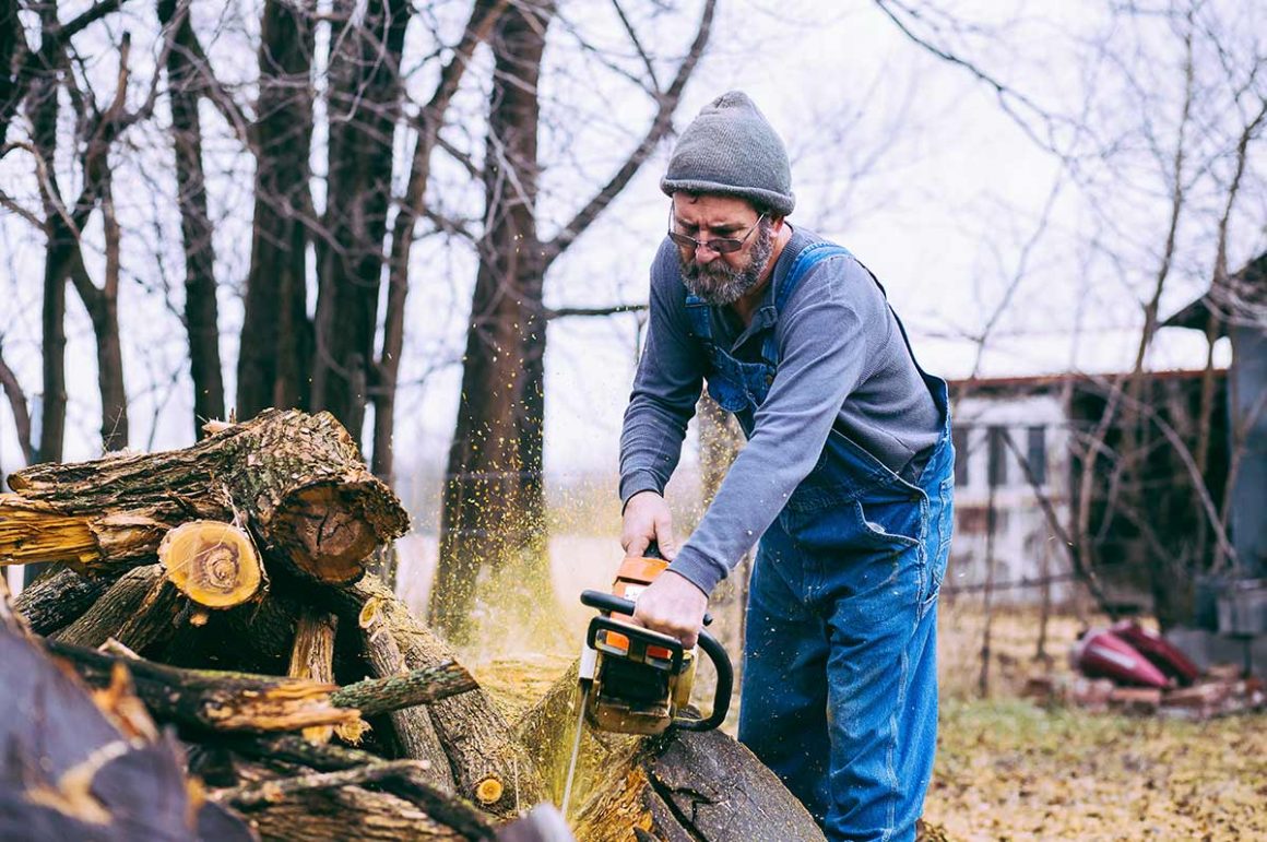 Types of Chainsaw Chain Explained - Workshopedia