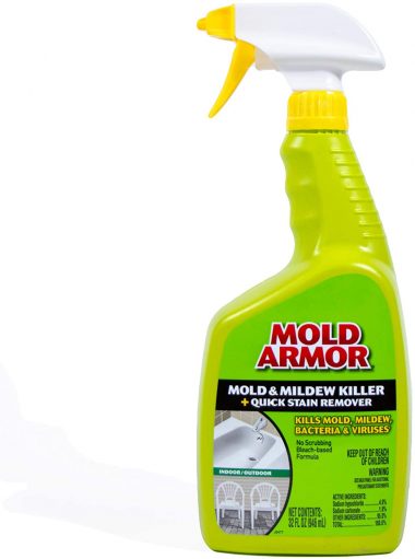 Mold Remover Products - The 10 Best - Workshopedia
