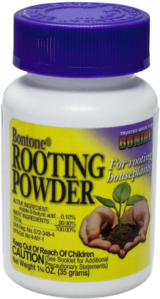 Best Rooting Hormone 2021 Buyers Guide - Workshopedia