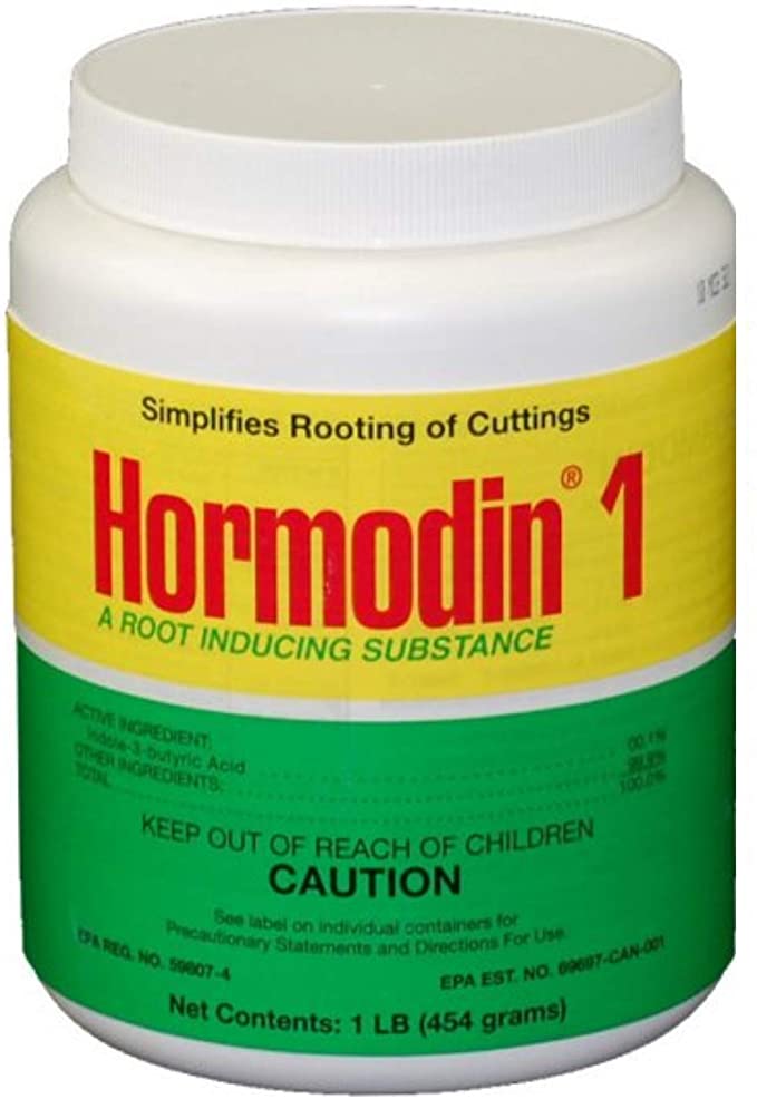 Best Rooting Hormone 2021 Buyers Guide - Workshopedia