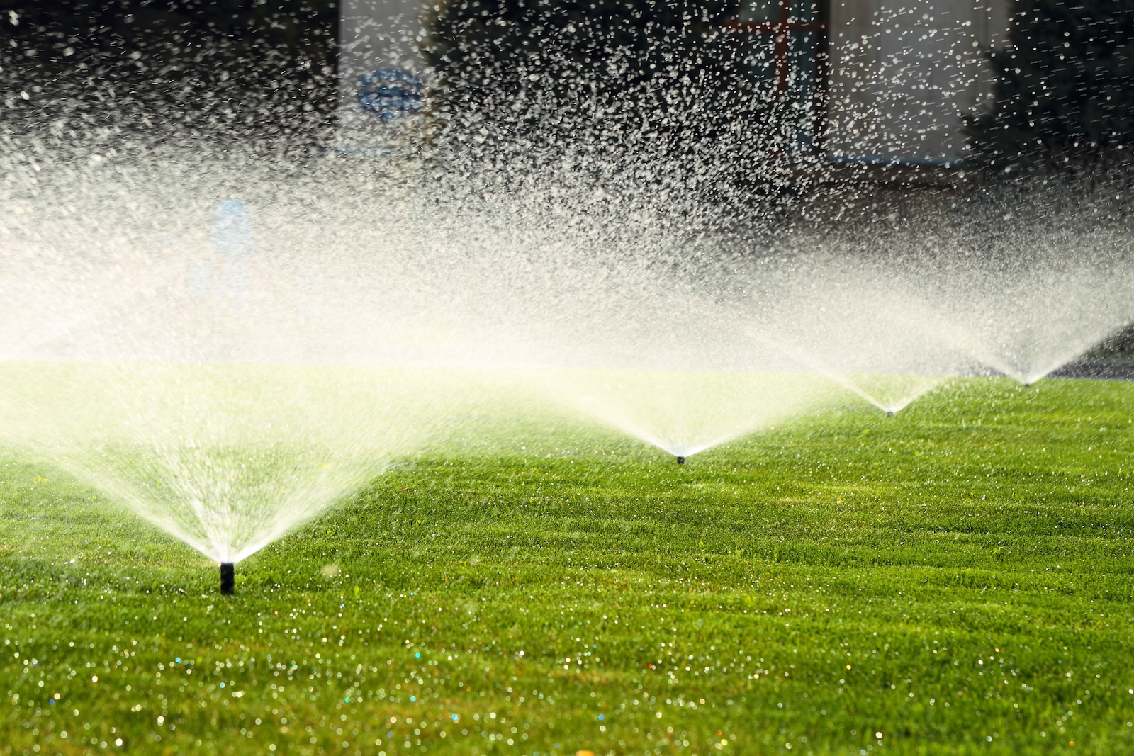 How Often To Use A Lawn Sprinkler System - Workshopedia