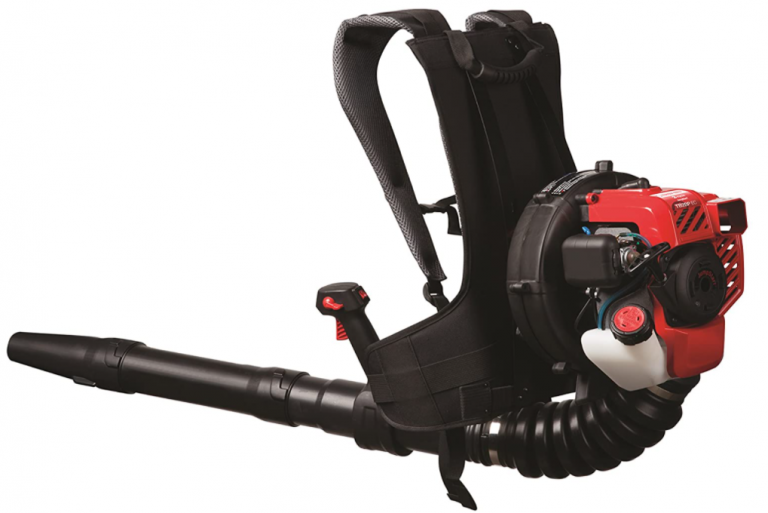 The 10 Best Backpack Leaf Blowers [Fall 2021] - Workshopedia