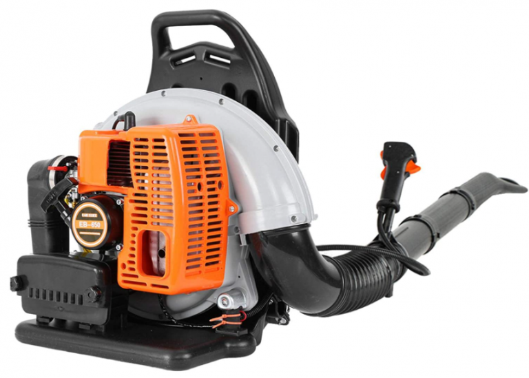 The 10 Best Backpack Leaf Blowers [Fall 2021] - Workshopedia